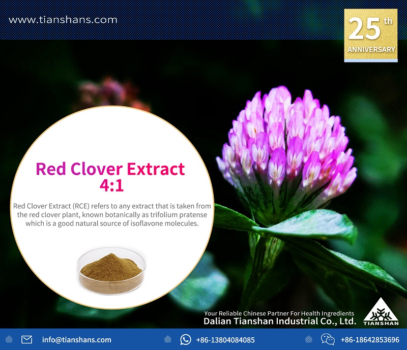 Red Clover Extract 4:1 - Dalian Tianshan Industrial